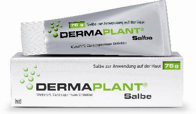 DERMAPLANT Salbe, 75 g - doc-bestendonk.de